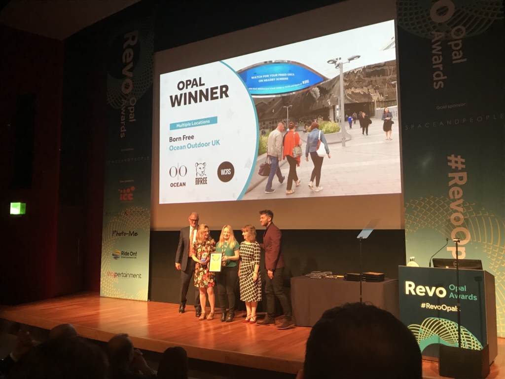 Ocean win at the Revo Opal Awards - Ocean Outdoor