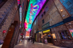 Labs - Ocean Outdoor