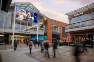 Labs - Ocean Outdoor